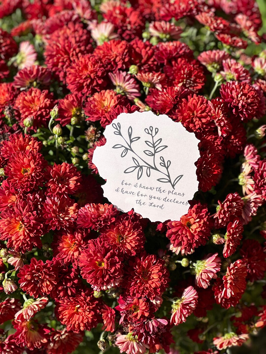 Religious Jeremiah 29:11 Sticker - Etsy