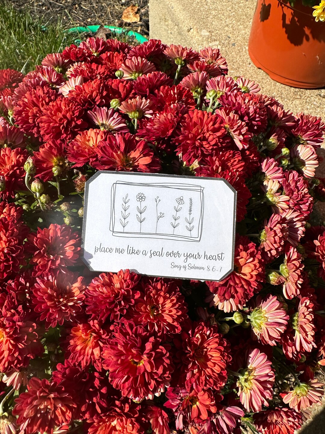 Religious Song of Solomon Sticker - Etsy