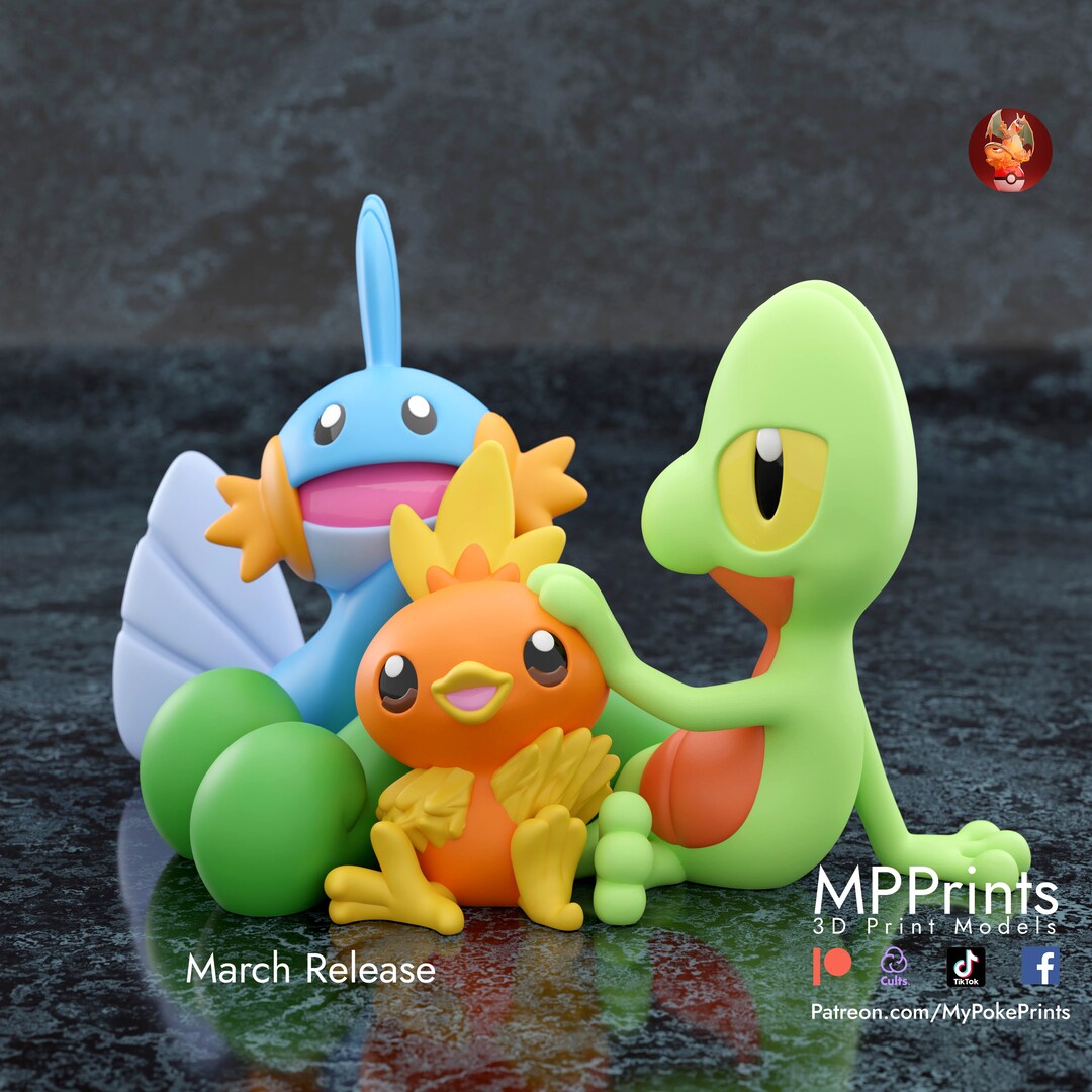 Gen 3 Starters fan Made UNOFFICIAL POKEMON 14k Abs Like Resin Painted ...