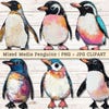 Watercolor Penguin Clipart Set: 20 PNG & PDF Files (commercial Use ...