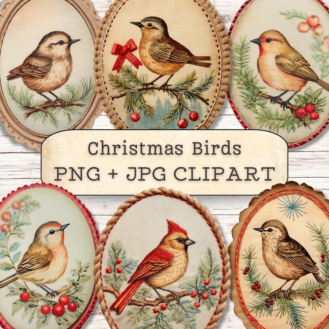 Christmas Birds Clipart, Antique Vintage Illustration, PNG + JPG ...