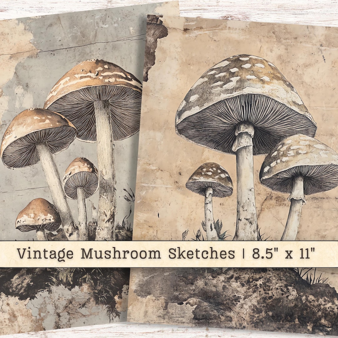 Vintage Mushroom Sketches Collage Paper, Antique Grunge Clipart ...