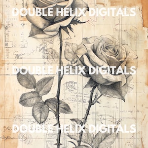 Grunge Rose Sketches Collage Paper, Antique Vintage Clipart, Neutral ...