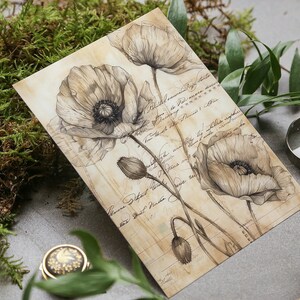 Grunge Poppies Sketches Collage Paper, Antique Vintage Clipart, Neutral ...