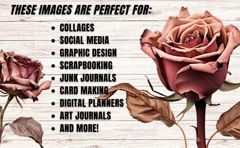Vintage Dried Roses Clipart, PNG Digital Downloads, Shabby Chic Collage ...