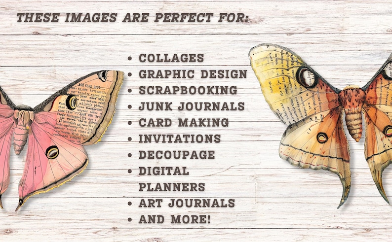 Mixed Media Luna Moths Clipart Text Watercolor Grunge Distressed PNG ...