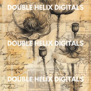Grunge Poppies Sketches Collage Paper, Antique Vintage Clipart, Neutral ...