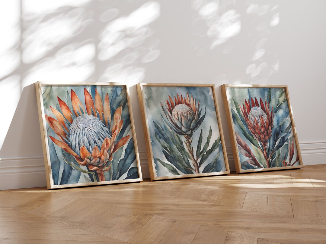 King Protea Digital Art Download for Home Decor Series 2907| Set of 3 ...