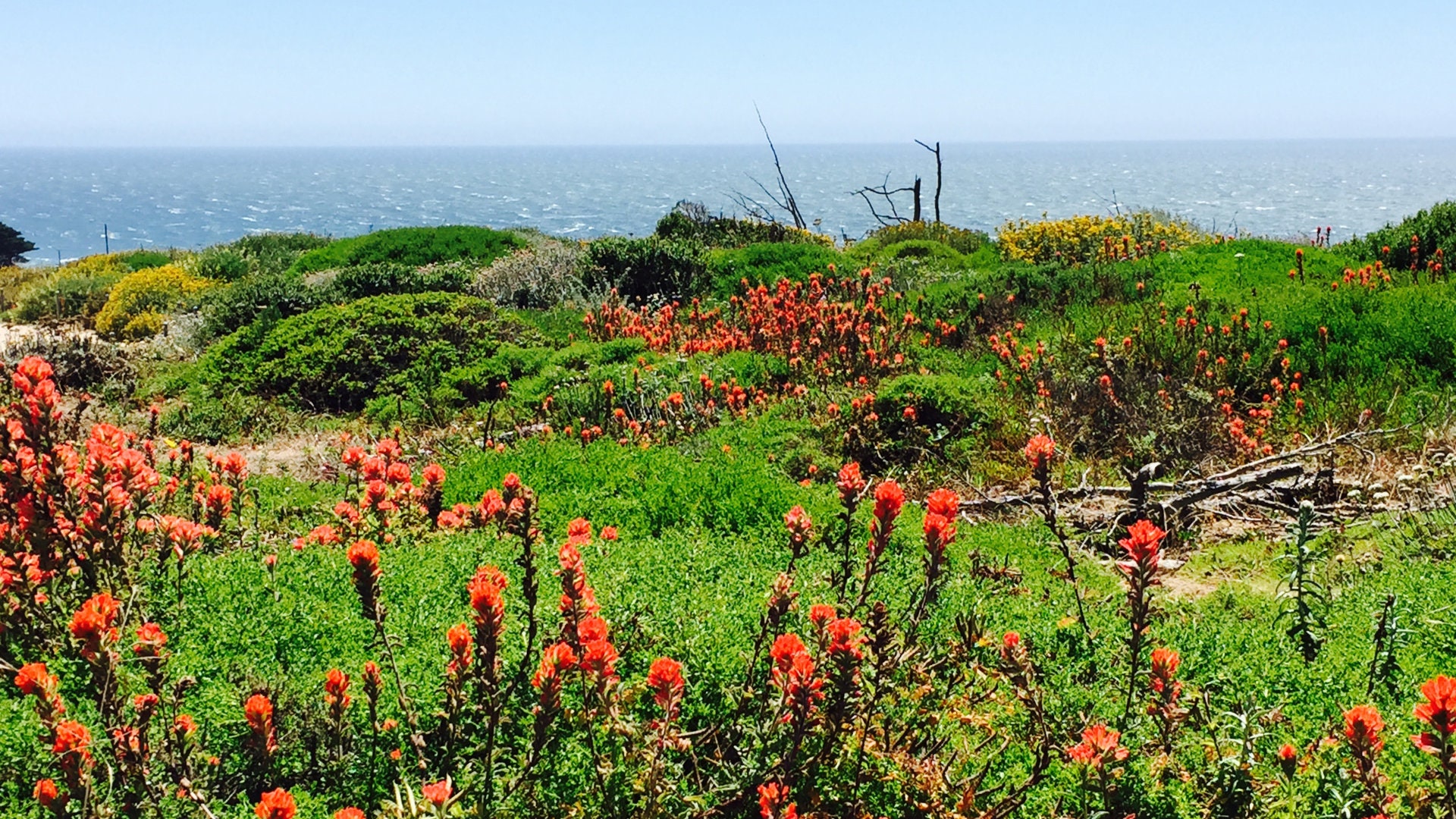 10 Zoom Backgrounds Luxury Homes Zoom Backdrops Virtual Zoom ...