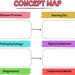 Nursing Concept Map-disease Processes - Etsy