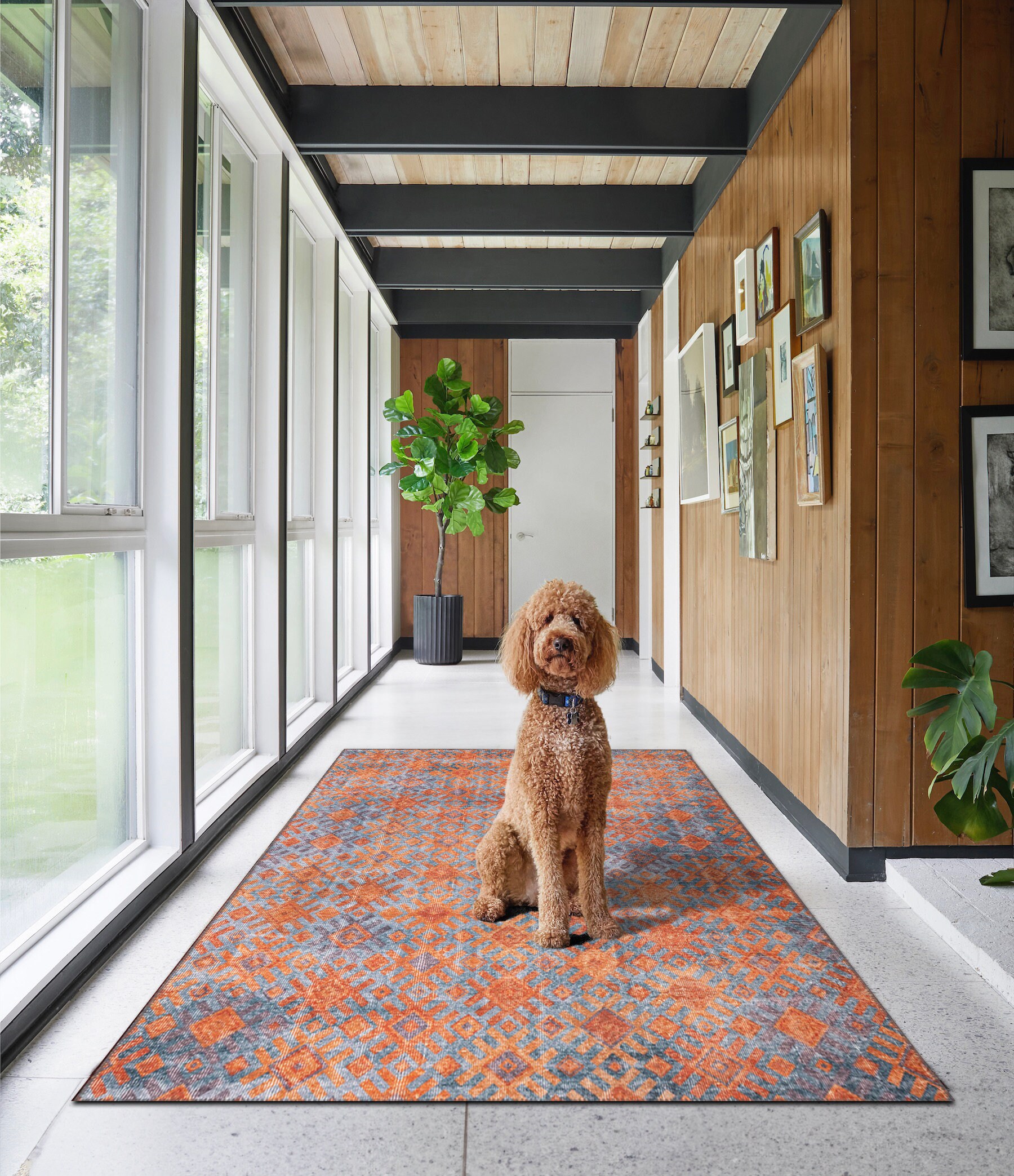 Radiant Sunset Hues: Exceptional Orange Rug Adorned With Intricate ...