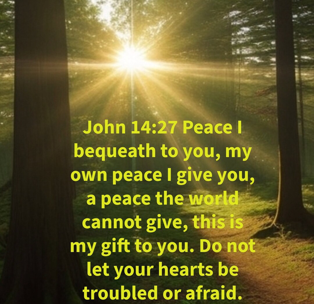 Bible Quotes Svg John 14 Bible Verse Wall Art - Etsy