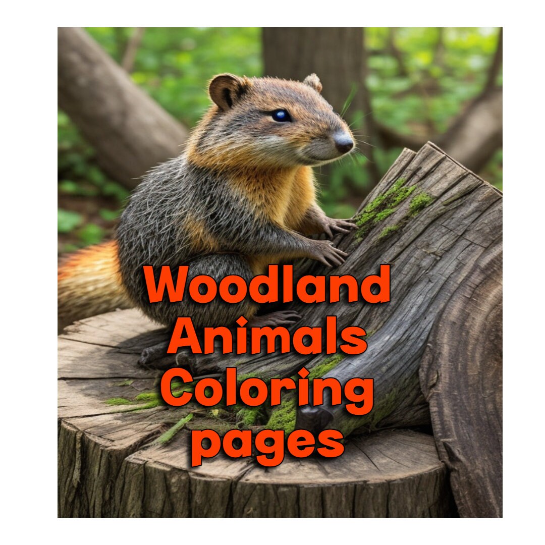 Woodland Animals Coloring Pages - Etsy