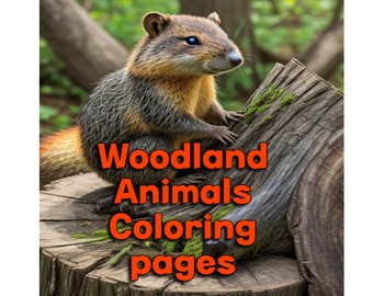 Woodland Animals Coloring Pages, Woodland Creatures Printable - Etsy