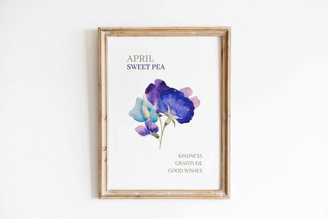 April Birth Month Flower Sweet Pea Watercolor Wall Art Print Floral ...