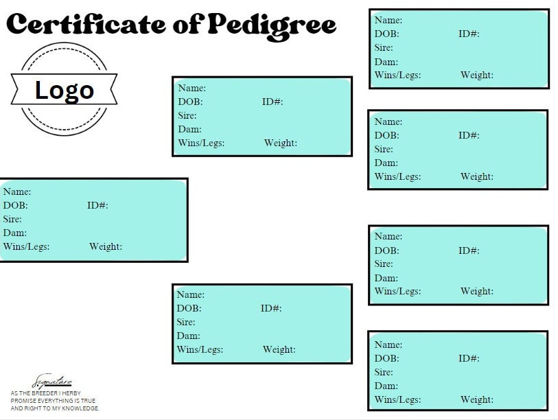 Create A Stunning Pedigree Document With Our Canva Template, Customize ...