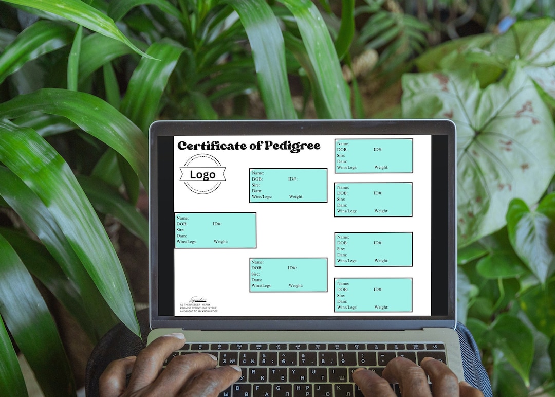 Create A Stunning Pedigree Document With Our Canva Template, Customize ...