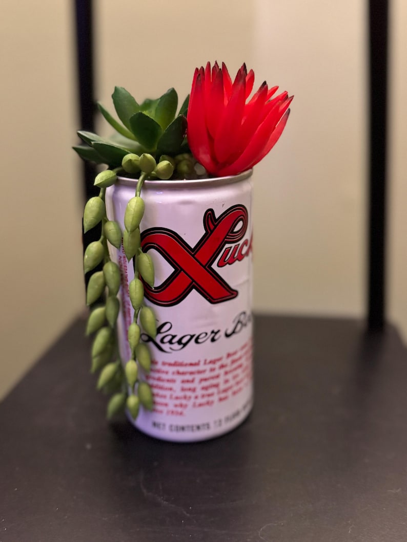 Vintage Beer Can Planter With Artificial Succulent Accents - Etsy