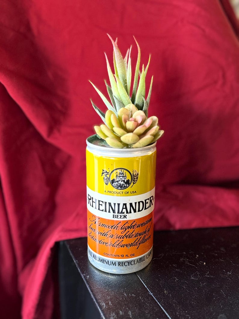 Vintage Beer Can Planter With Artificial Succulent Accents - Etsy