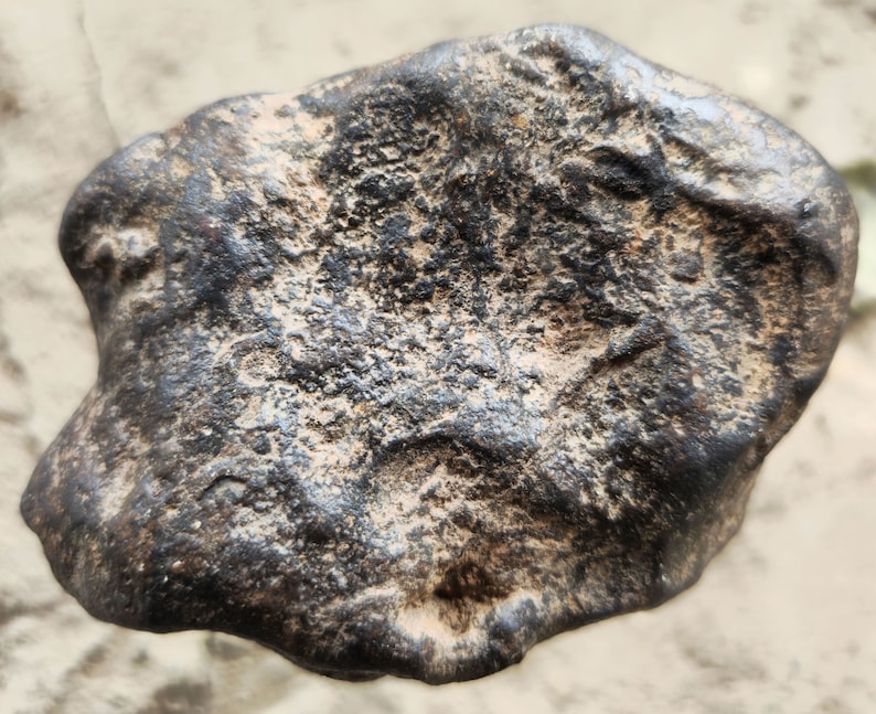 Genuine Meteorite Iron Meteorite 770 Gm Extraterrestrial Mineral ...