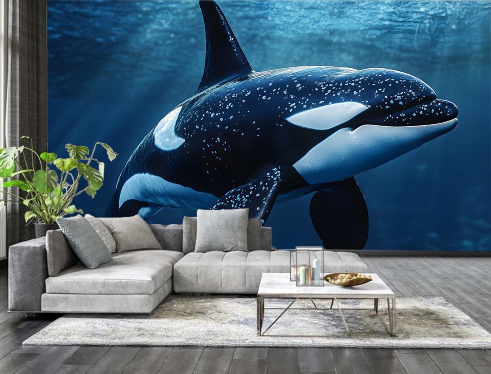 Ocean Orca Vinyl Wallpaper, Kids Room Decor, Non-woven Ocean Design for ...