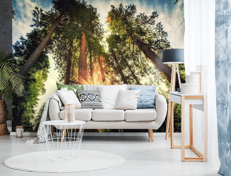 Giant Redwood Sequoia Grove Wallpaper, Peel and Stick Wallpaper, Bright ...