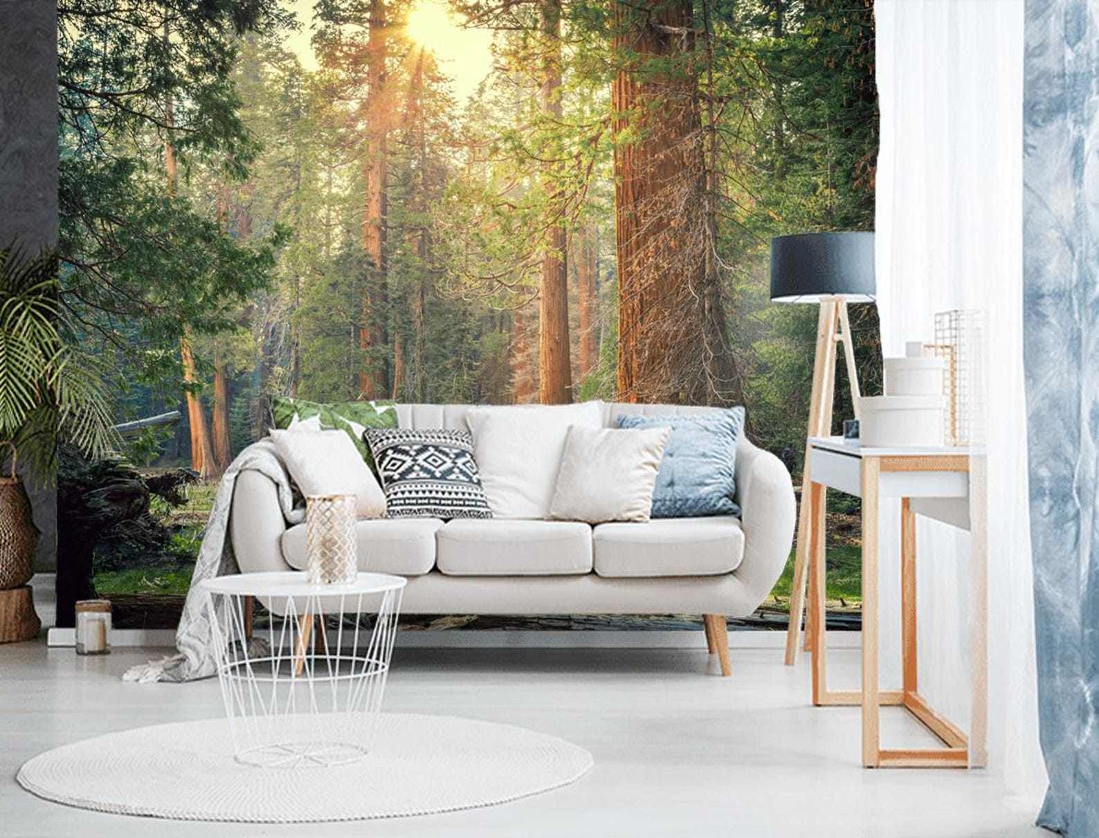 Sequoia National Park Wall Mural, Giant Redwood Trees Wallpaper ...