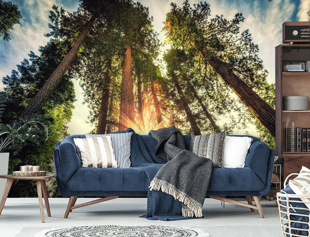 Giant Redwood Sequoia Grove Wallpaper, Peel and Stick Wallpaper, Bright ...