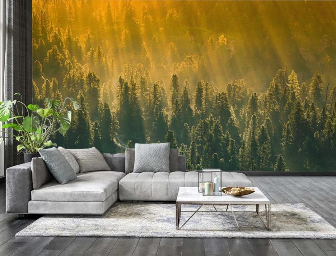 Forest Wall Mural, Sunlight Through Trees, Evergreen Morning Wall Mural ...