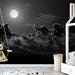 Full Moon Wall Mural, Night Sky and Clouds Wallpaper, Cloudy Moon Decor ...