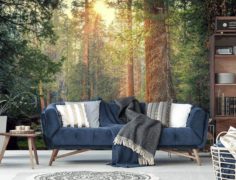 Sequoia National Park Wall Mural, Giant Redwood Trees Wallpaper ...
