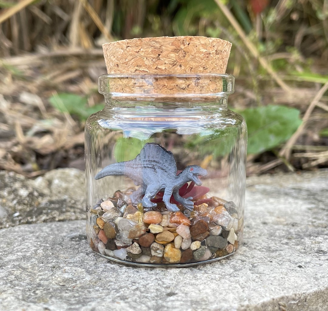 Spinosaurus Terrarium - Miniature Dinosaur in a Jar - Customizable - Etsy