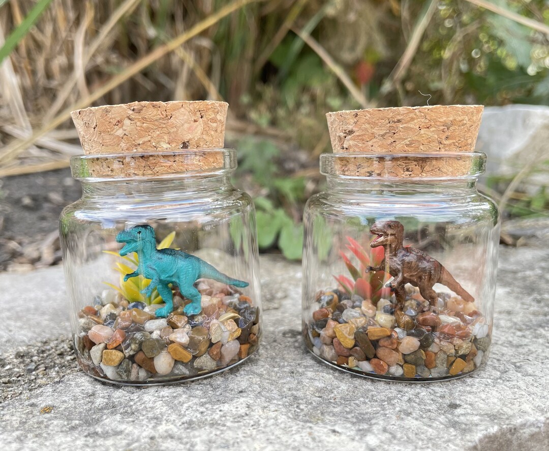 T-rex Terrarium - Miniature Dinosaur in a Jar - Customizable ...