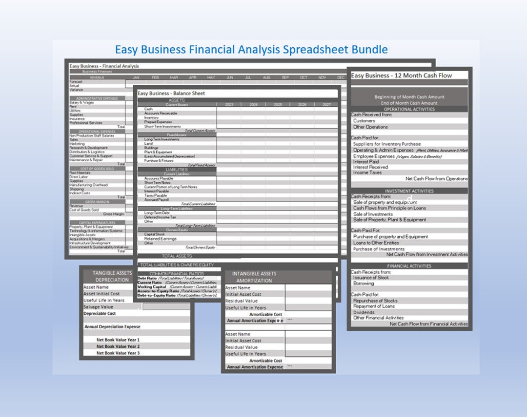 Easy Business Financial Analysis Spreadsheet Bundle - Etsy