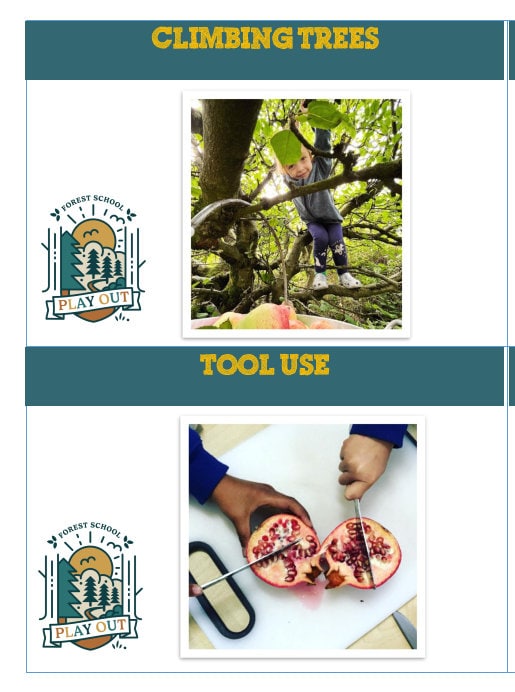 Forest School Mini Risk Assessment Cards - Etsy