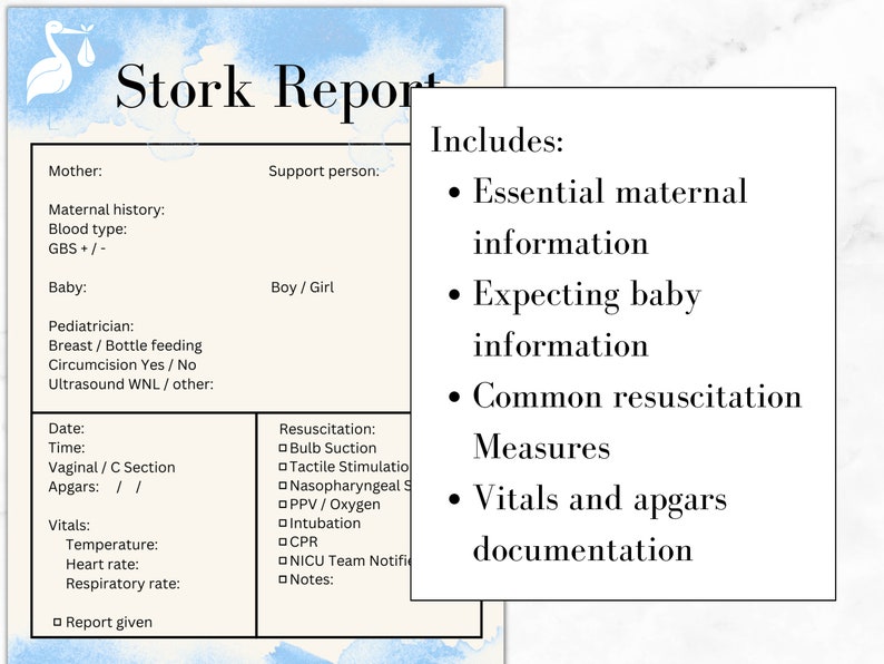 Labor and Delivery Stork Report Sheet Stork L&D Nursing - Etsy