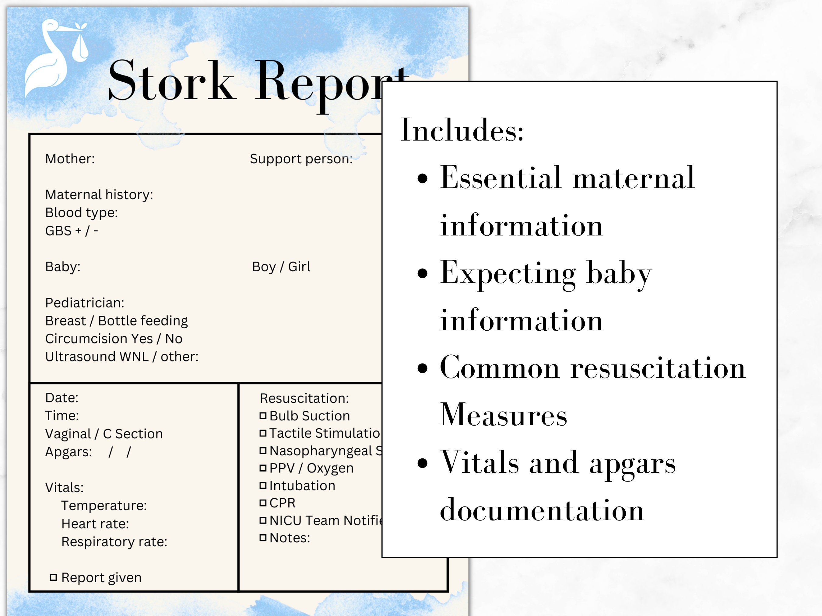 Labor and Delivery Stork Report Sheet, Stork, L&D Nursing, Nurse Report ...