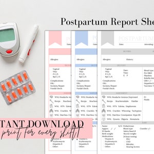 Postpartum Report Sheet, Mother Baby Nurse Report Sheet, Printable ...