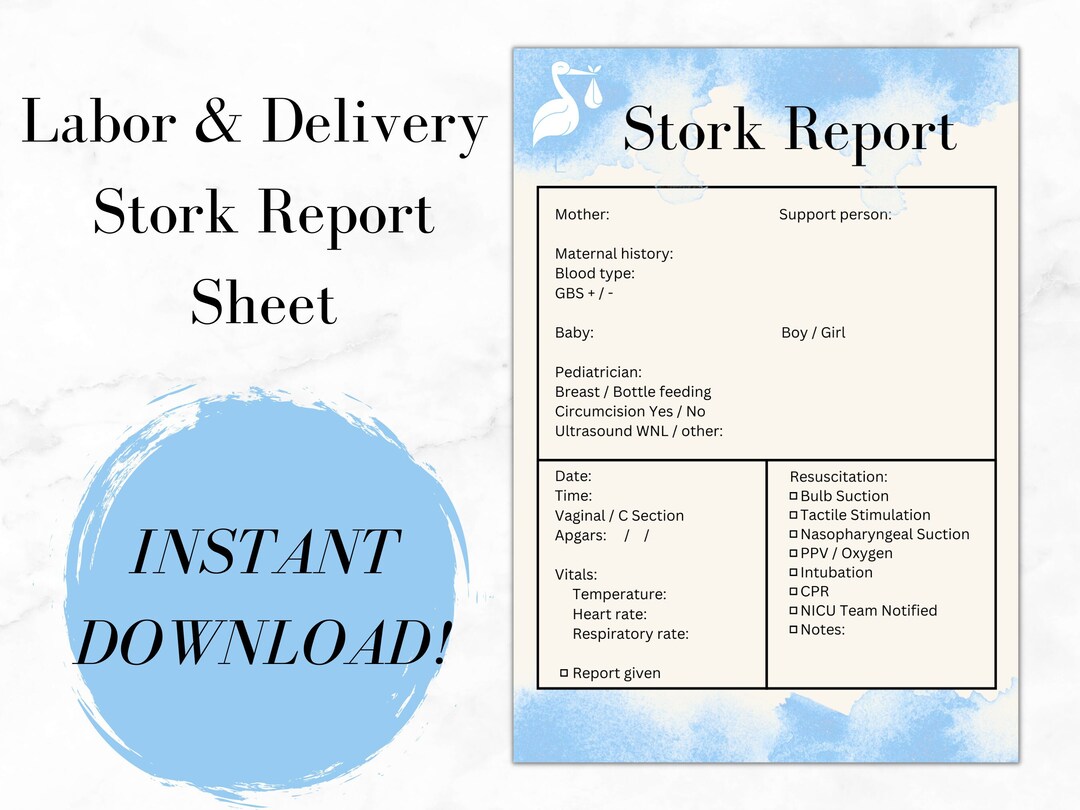Labor and Delivery Stork Report Sheet, Stork, L&D Nursing, Nurse Report ...