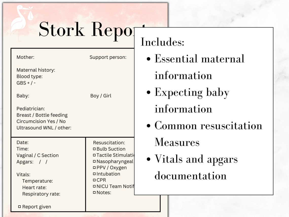 Labor and Delivery Stork Report Sheet, Stork, L&D Nursing, Nurse Report ...