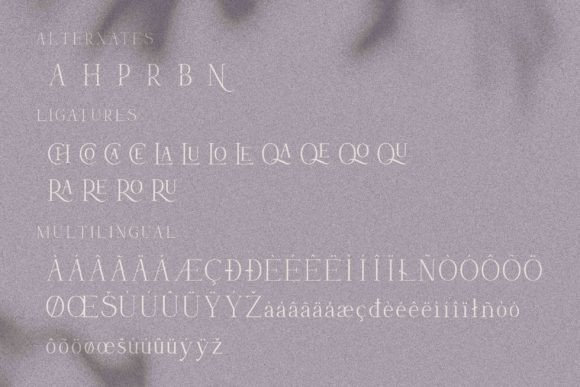 Hisav Font Unique Script Font Personal Signature Font - Etsy