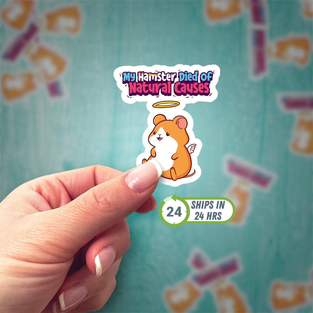 Cute Hamster Sticker Funny Hamster Meme Sticker Kawaii Hamster ...