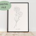 Carnation Line Art Print | January Birth Flower (digital Download) - Etsy