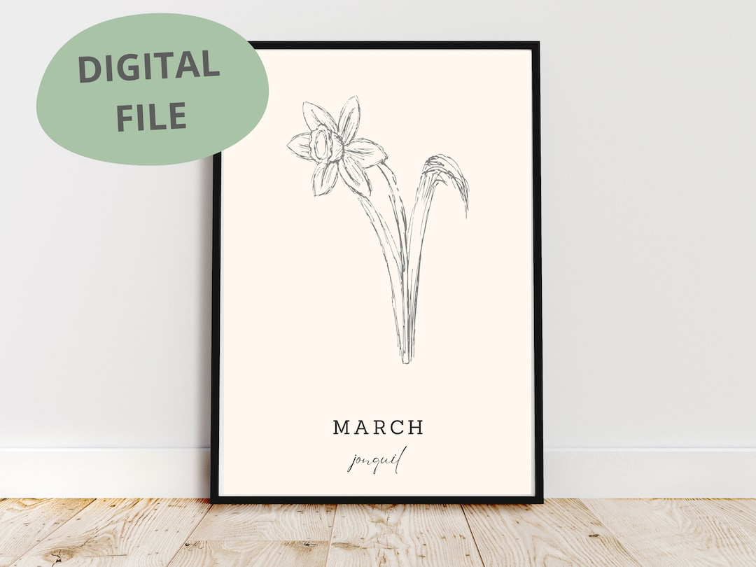 Jonquil Line Art Print | March Birth Flower (digital Download) - Etsy