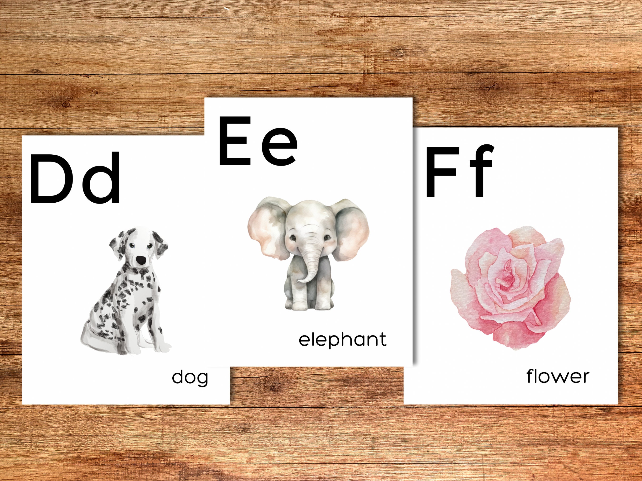 DIGITAL DOWNLOAD | Alphabet Flash Cards | 2 Print Sizes - Etsy