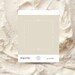 Neutrals Colour Palette | 4 Neutral Brand Colours With Hex, RGB, CMYK ...