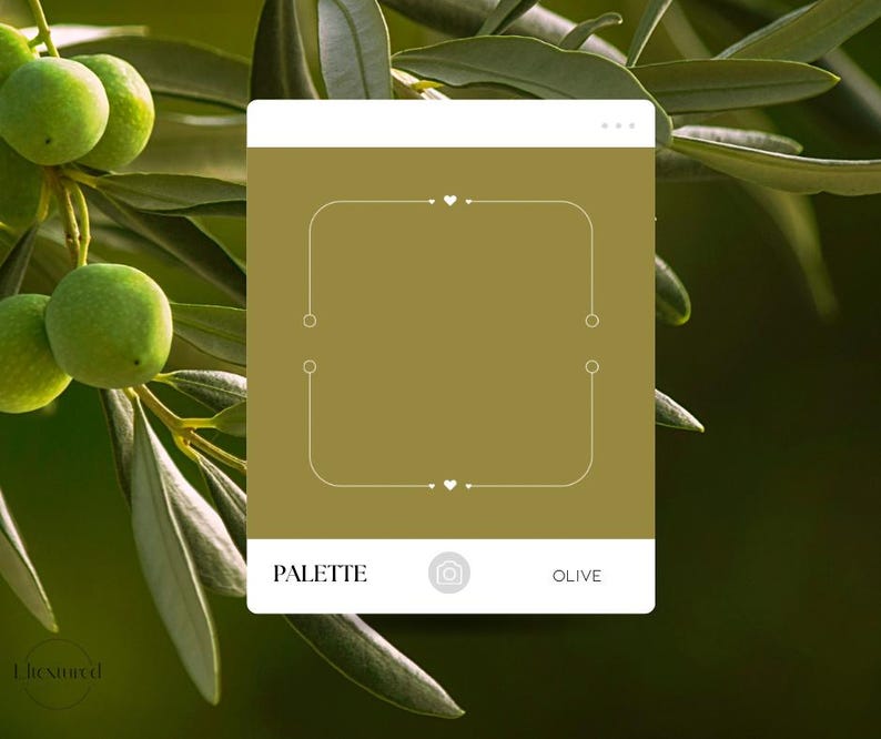 Spring Colour Palette | 4 Spring Themed Colours With Hex, RGB, CMYK ...