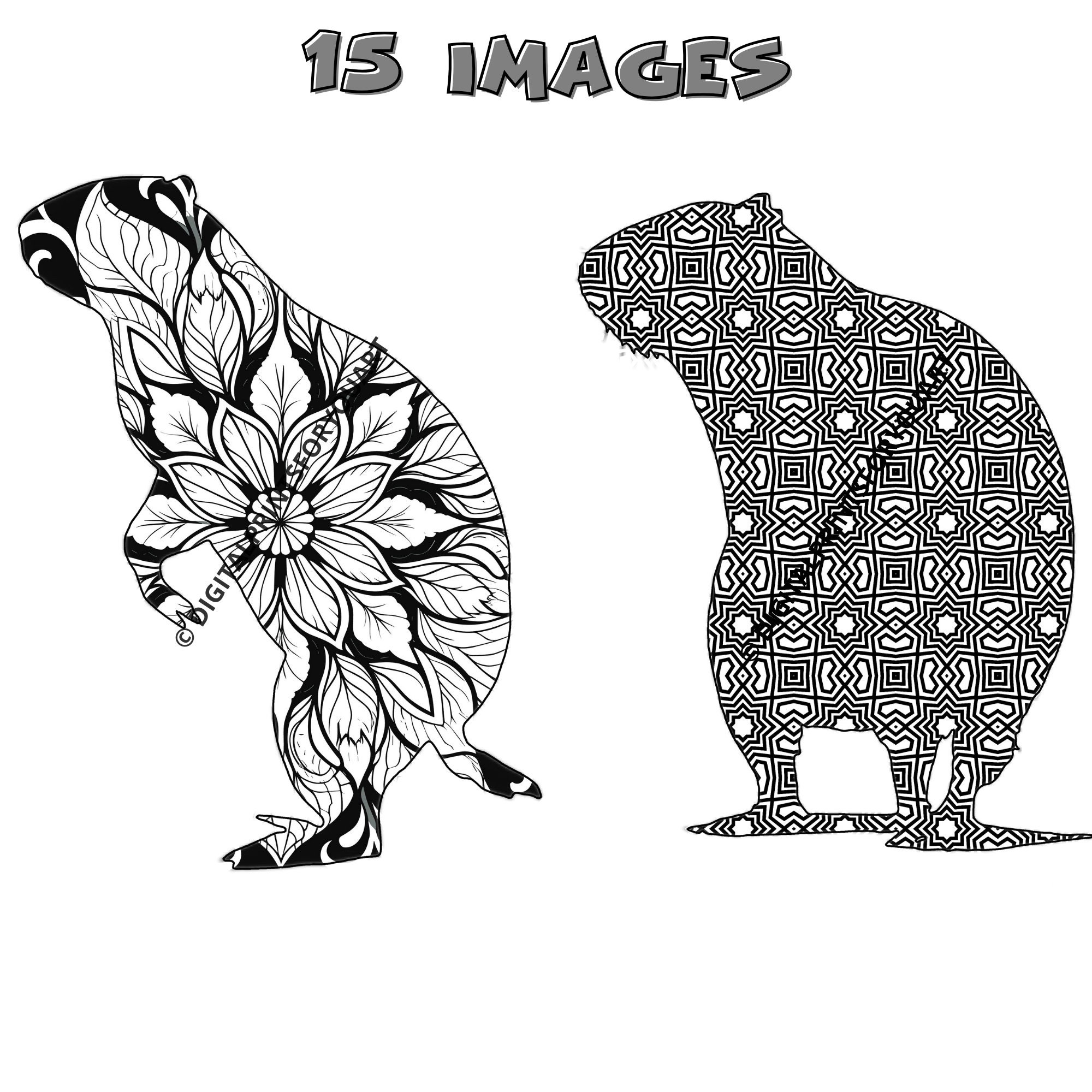 Capybara Coloring Book Mandala Style Coloring Pages Bundle - Etsy