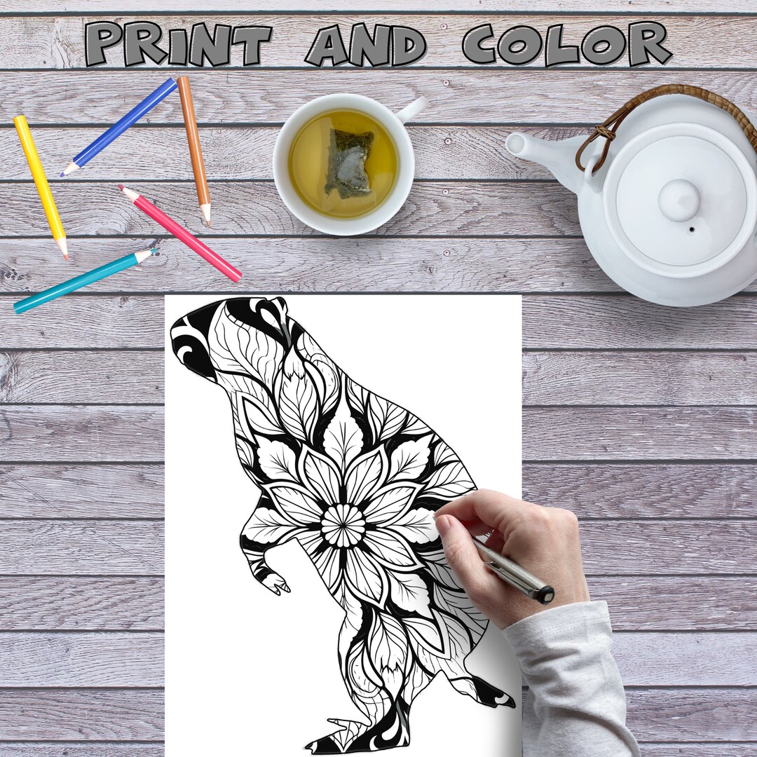 Capybara Coloring Book Mandala Style Coloring Pages Bundle - Etsy