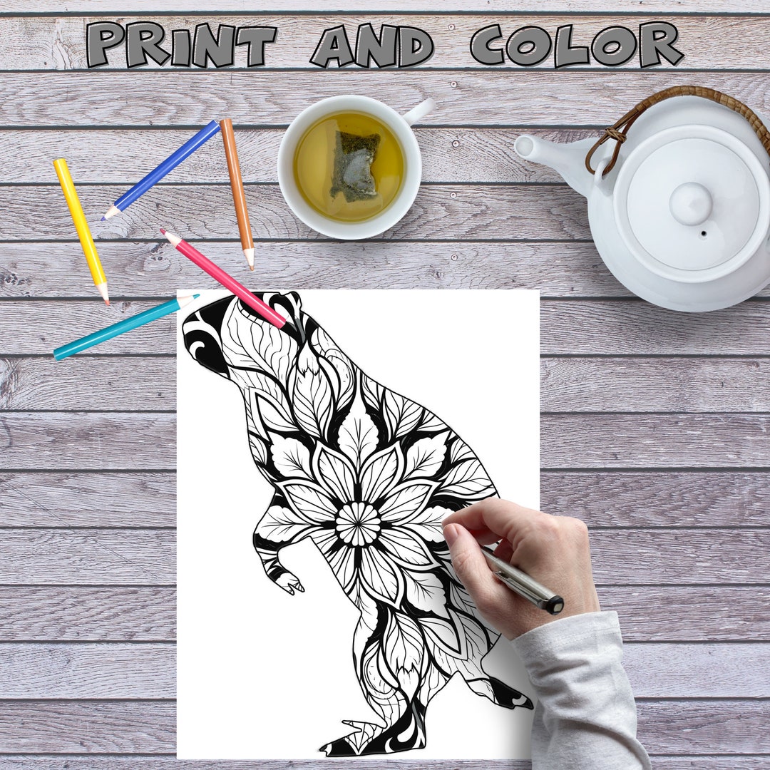 Capybara Coloring Book Mandala Style, Coloring Pages Bundle Pet ...